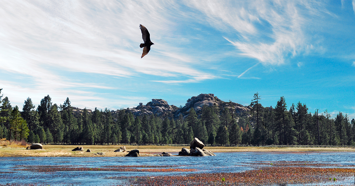 Laguna Hanson Excursión - Go Adventures MX